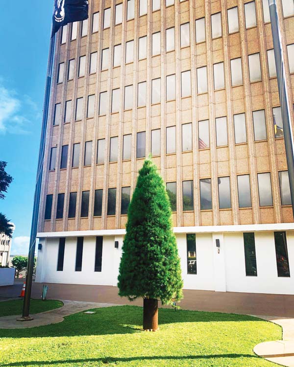 County to hold tree lighting ceremony | News, Sports, Jobs - Maui News